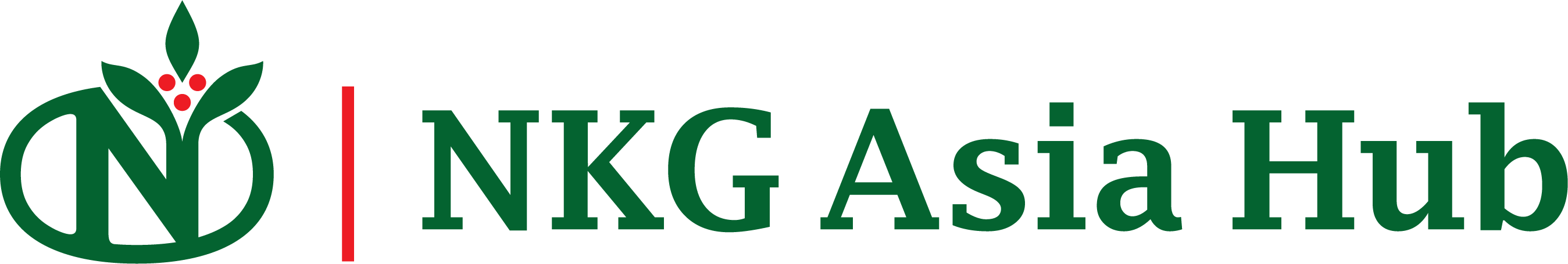 NKG Asia Hub - NKG Indonesia Imports